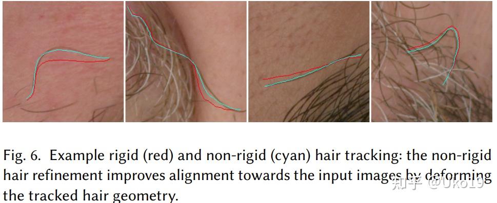 Facial Hair Tracking for High Fidelity Performance Capture笔记 - 知乎