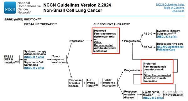 HER2突变非小细胞肺癌后线治疗有新药啦，BAY 2927088获FDA突破性治疗认定 - 知乎