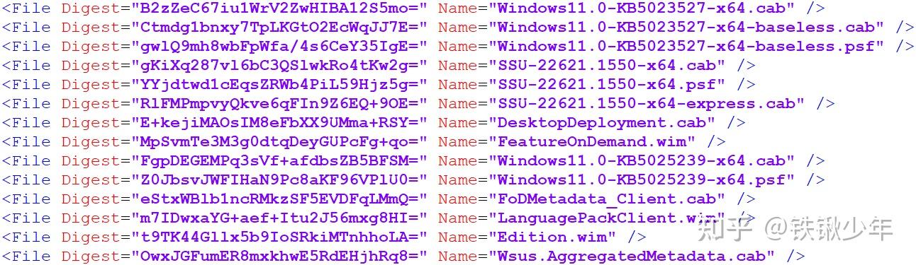 UUP, Windows 11 更新机制的未来 - 知乎