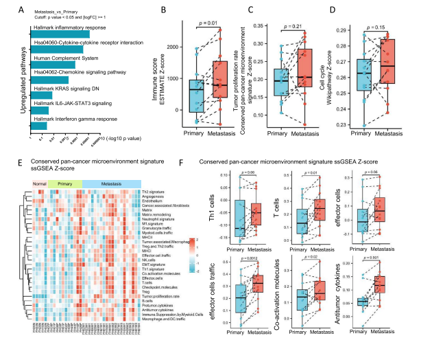TOP期刊首次揭示FH-RCC转移病灶的基因组、表观基因组和转录组特征 - 知乎