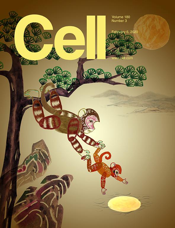 科学与艺术的结合！《CELL》100+张期刊封面鉴赏｜2020年篇 - 知乎