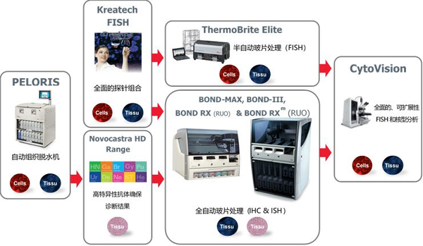 IVD市场分析丨分子诊断产品（FISH篇） - 知乎