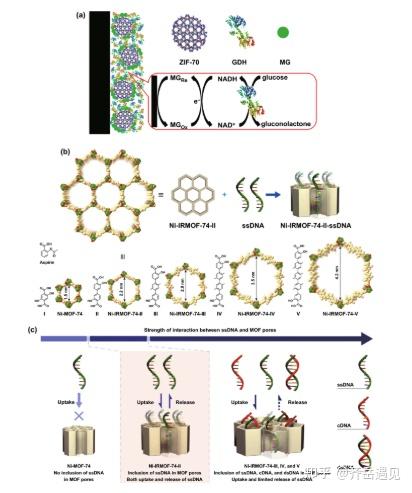 MOF-5负载辣椒素/原花青素抑菌膜；MOFs纳米粒子修饰脱氧核糖核酸(DNA) - 知乎