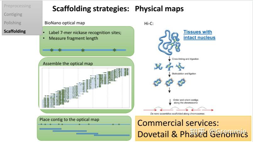 从头全基因组组装De novo whole genome assembly - 知乎