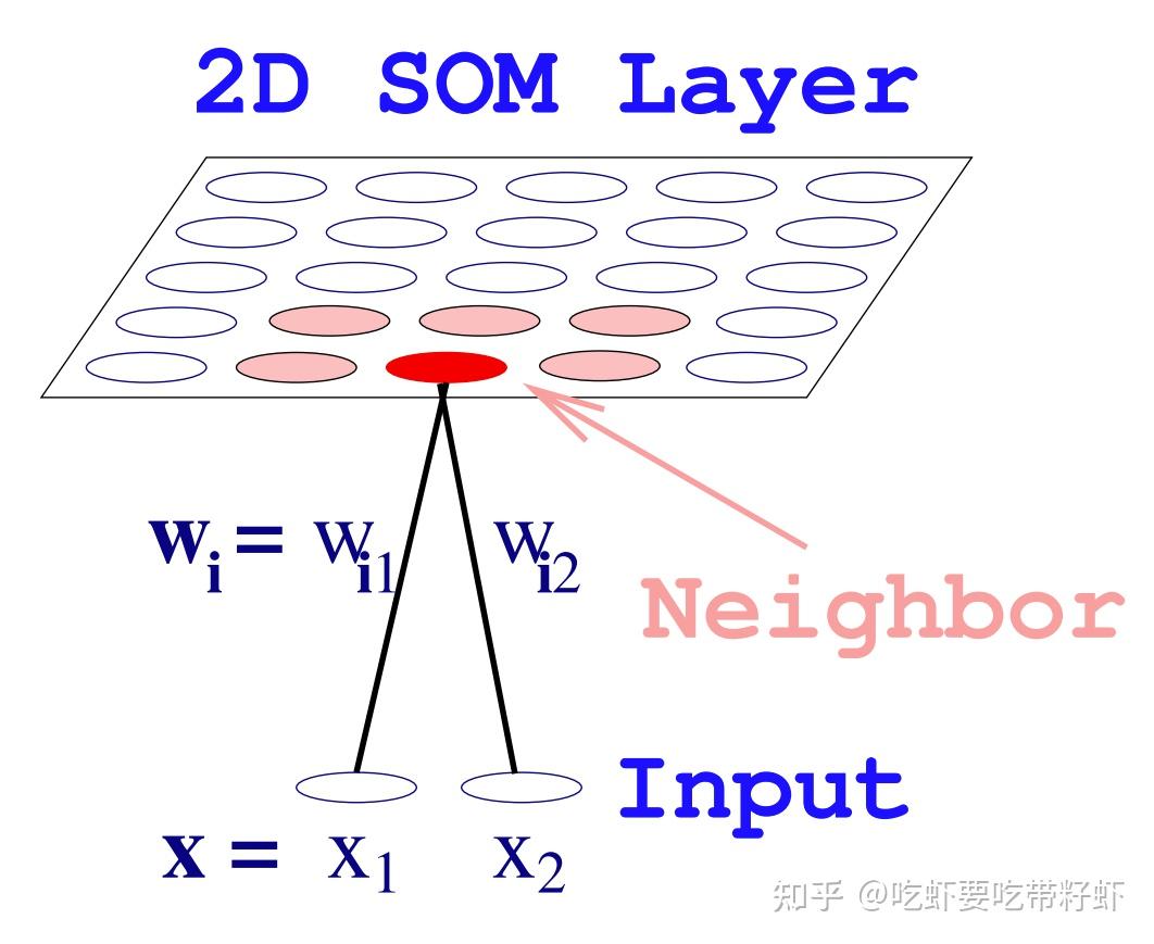 自组织映射(Self-Organizing Maps, SOM) - 知乎