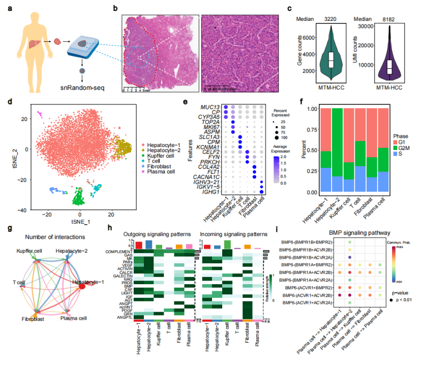登陆Nature Communications-M20 Seq技术实现FFPE样本高性能检测 - 知乎