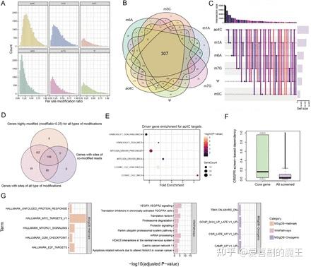 论文阅读——使用 RNANO 从纳米孔直接 RNA 测序数据中准确预测多种 RNA 修饰 - 知乎