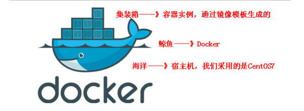 Docker容器入门介绍 知乎