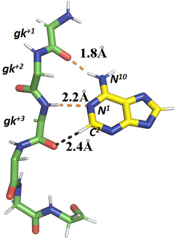 再谈hinge-binding - 知乎