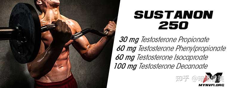 Sustanon是什么？如何使用它？ 关于Sust Cycle的所有资料 - 知乎