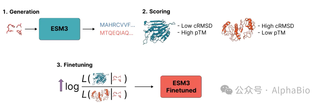 [Protein] ESM3 刨析 - 知乎