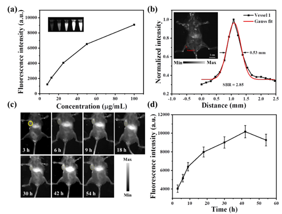 纳米粒子 | NIR-IIb 成像和 NIR-II 激发的光热治疗用于高性能混合光疗法 - 知乎
