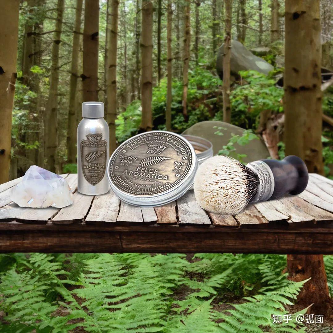 SV1945费尔斯芳草蕨重新演绎馥奇调，实现顺滑舒适的完美剃须体验 - 知乎
