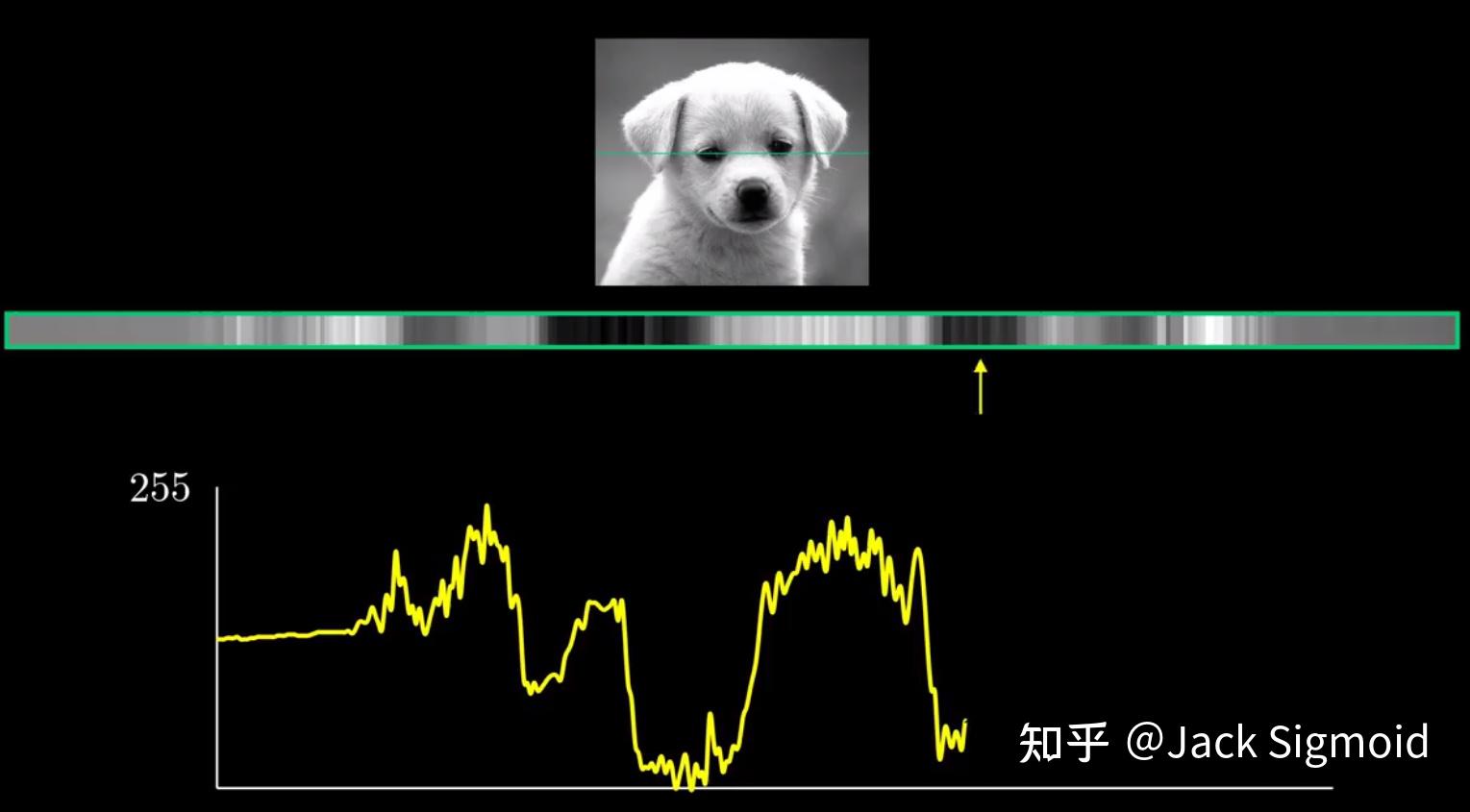令人拍案叫绝的JPEG图像压缩原理 - 知乎