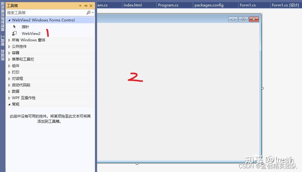 .Net WebView2 项目，实现 嵌入 WEB 页面 Chromium内核