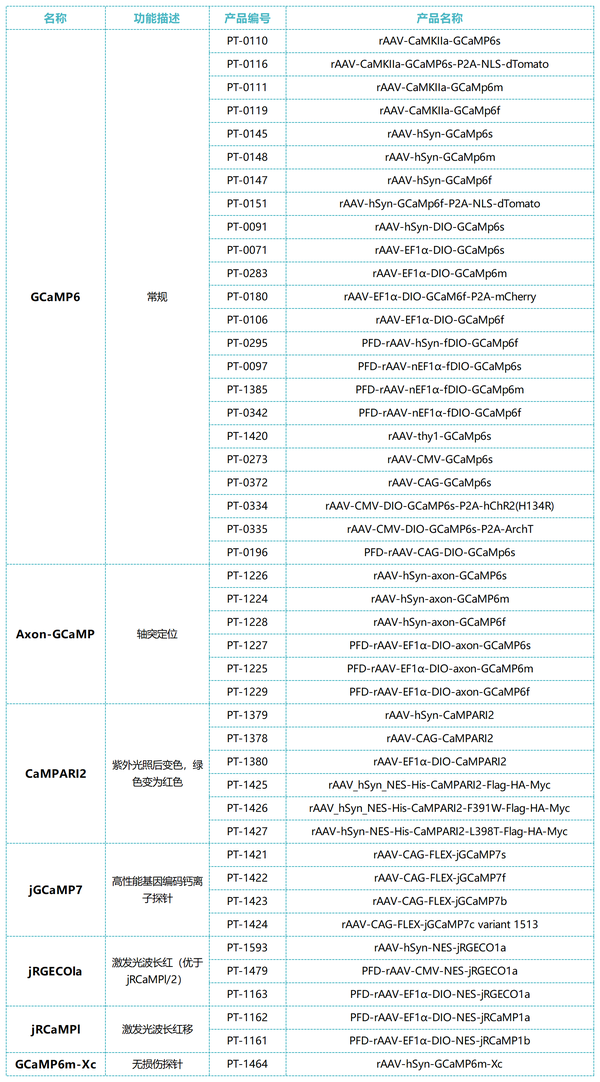 钙成像实验怎么操作？钙成像技术应用案例 - 知乎