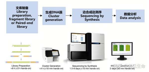【学术分享第2期】NGS技术原理及其应用 - 知乎