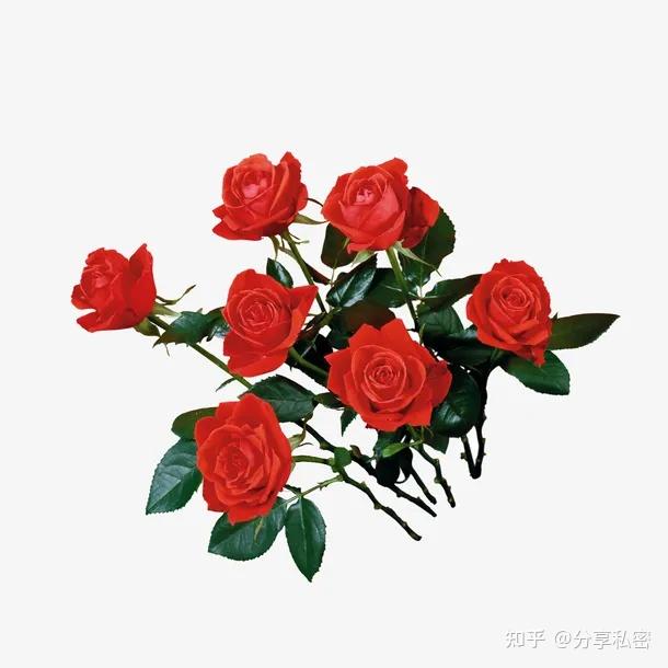性生活时阴蒂疼痛是怎么回事 知乎