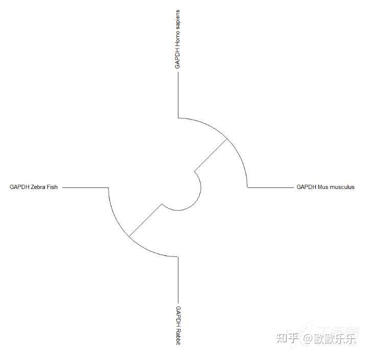 基础实验：聊聊使用mega软件的方法和步骤，构建不同类型的序列进化树！ 知乎