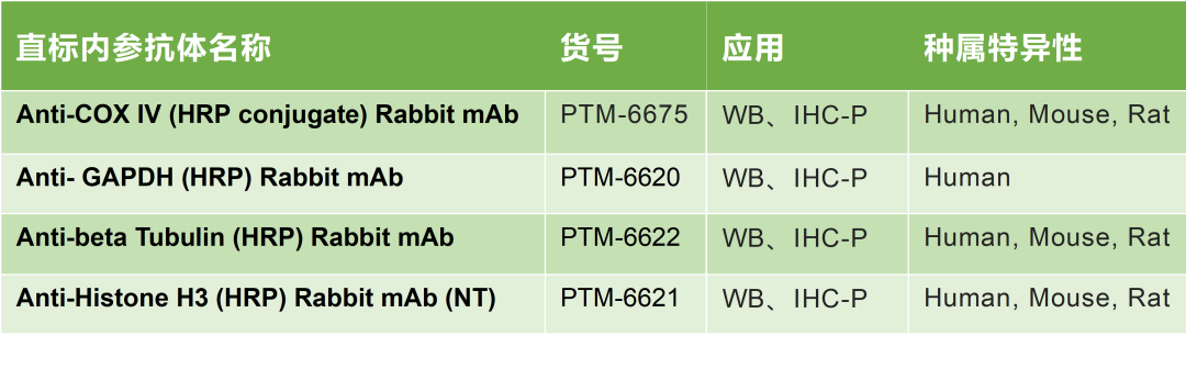 WB的无敌战神之路——WB的内参选择 - 知乎