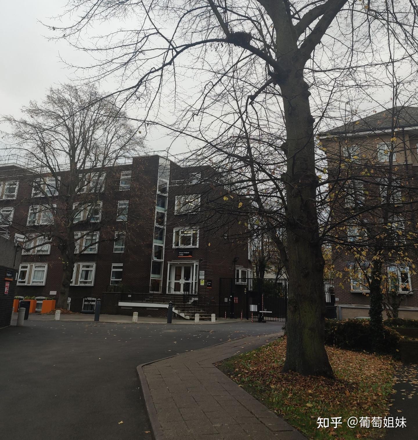 UCL max rayne house宿舍 - 知乎