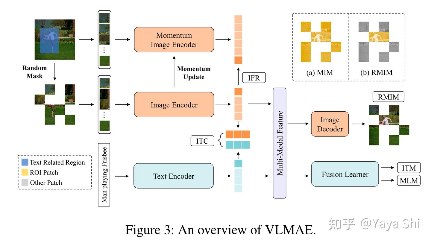 MIM for CV and VL - 知乎