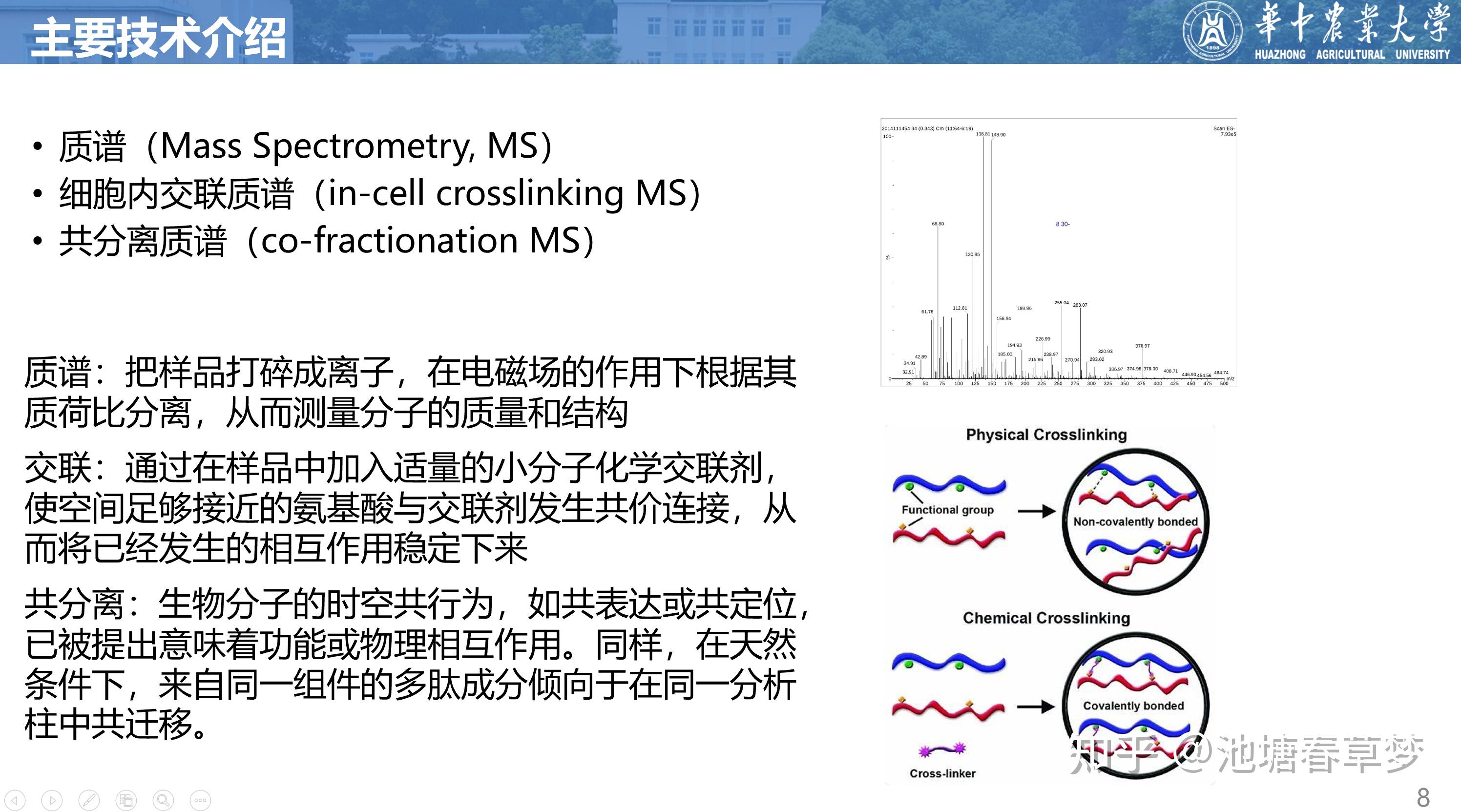 基于AI辅助的结构蛋白质组学研究细胞内的蛋白质复合体 - 知乎