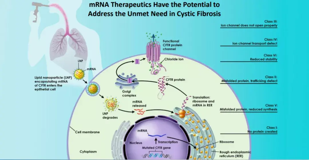 赛诺菲32亿美元收购mRNA公司Translate Bio - 知乎