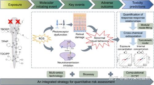 南开大学最新EST：有机磷酸酯视觉毒性的新见解：综合定量不良结局途径和跨化学物质外推 - 知乎