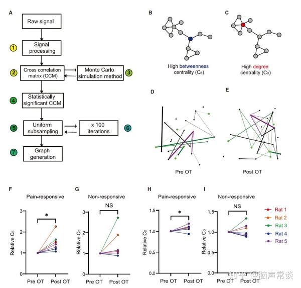 Neuron ‖ 催产素能神经元发挥镇痛作用的神经环路机制 - 知乎