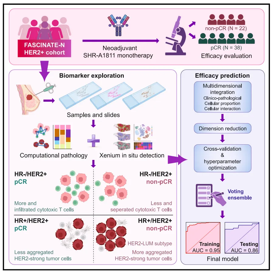 诺禾致源｜2篇Cancer Cell带你了解Xenium技术肿瘤应用的方案设计和关键思路 - 知乎