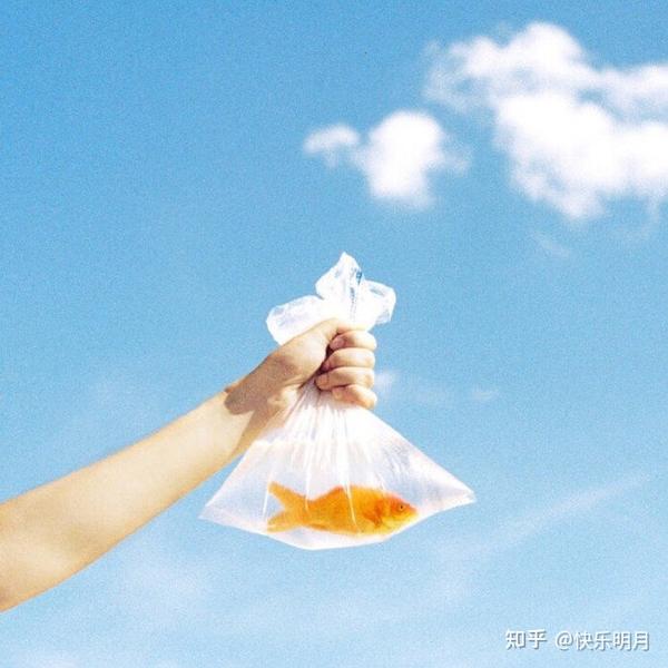 懂得管住自己的嘴 知乎