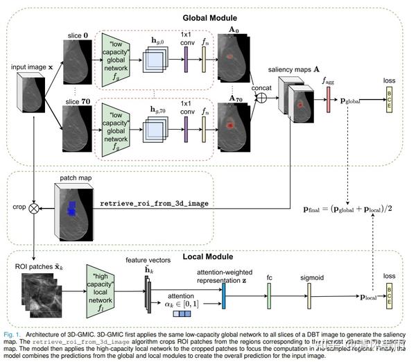 IEEE Transactions on Medical Imaging(TMI)论文推荐：2024年01月(2) - 知乎