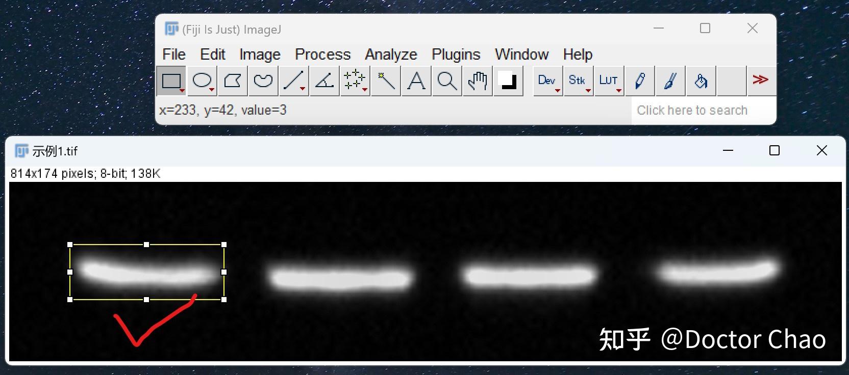 Western blot实验技巧之蛋白样品制备、SDS-PAGE胶制备、跑电泳、转膜、孵育抗体、显影和ImageJ分析（来自一位可稳定重复WB结果的科研狗之四年经验总结） - 知乎