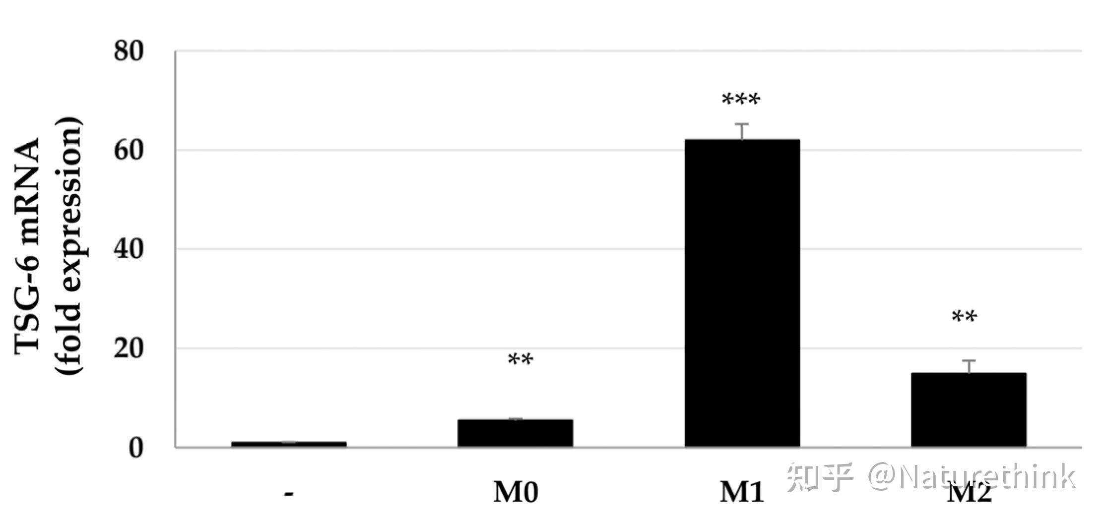 抗纤维化TSG-6的表达通过JAK/STAT信号通路在在间充质干细胞和巨噬细胞共培养过程中协同增加 - 知乎
