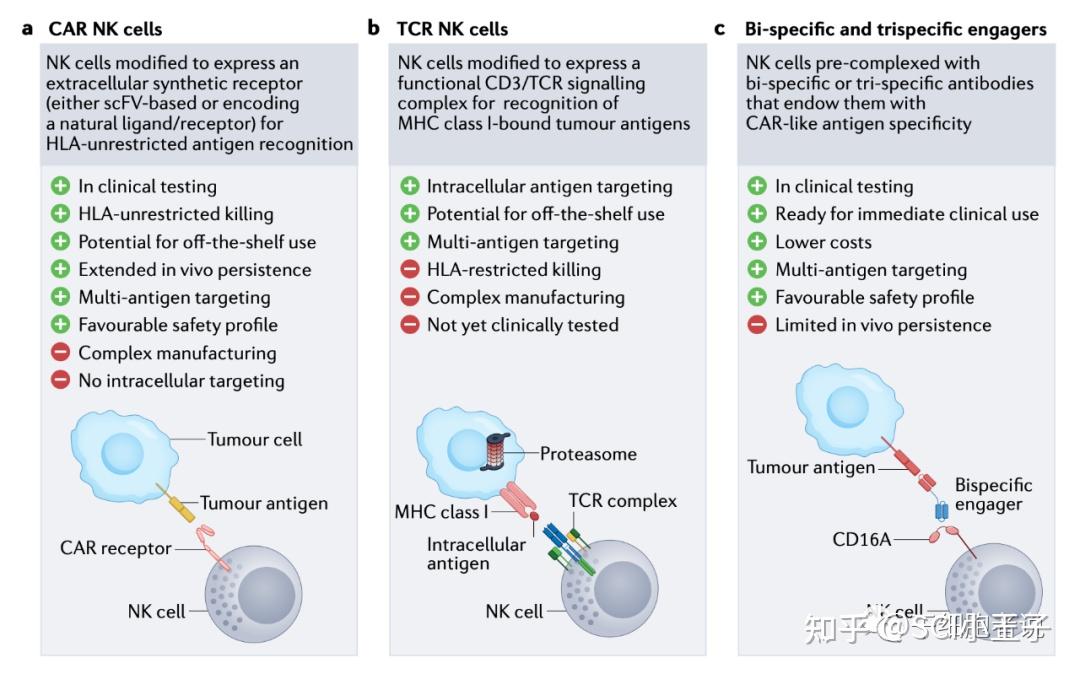 Nat Rev Cancer：NK细胞疗法未来方向 - 知乎
