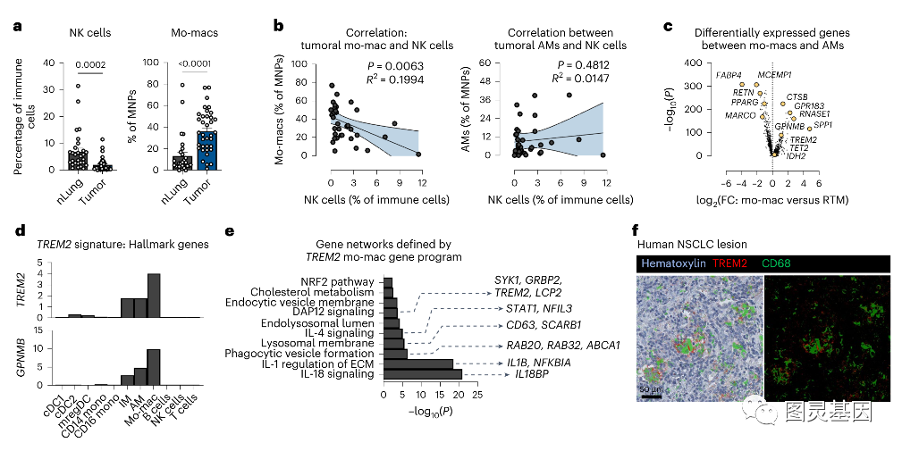 Nat Immu | 巨噬细胞抑制肺癌中NK细胞的募集和激活 - 知乎