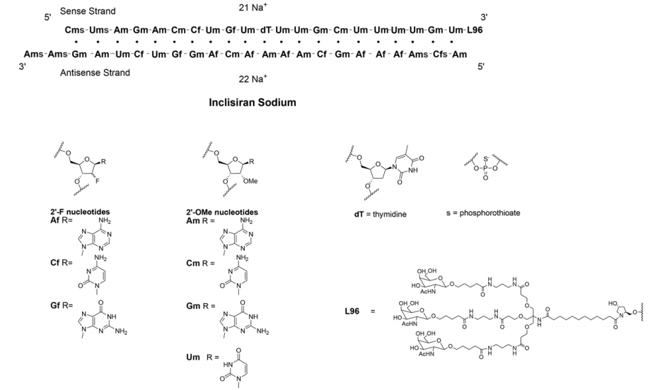 9988元/针！一针管半年的长效小核酸类降脂药Inclisiran国内开打 - 知乎
