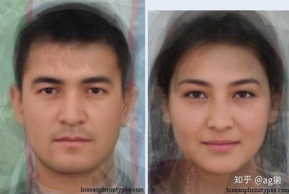 丝绸之路的栖居者：中东和印度的平均脸 - 知乎