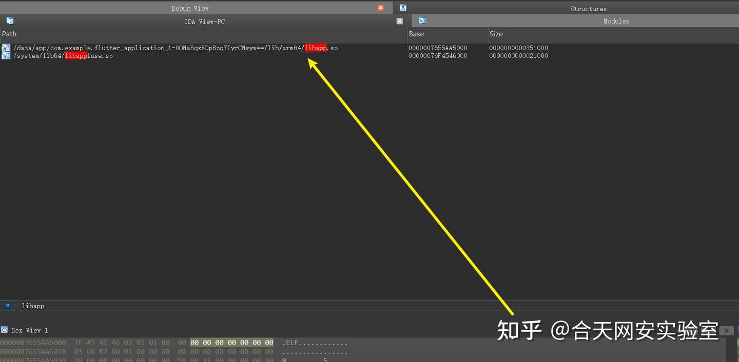 【flutter对抗】blutter使用+ACTF习题 - 知乎