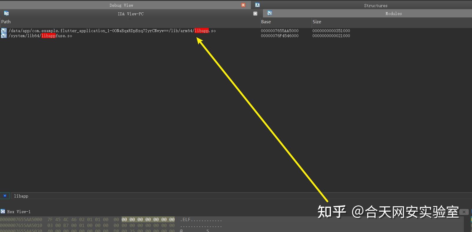 【flutter对抗】blutter使用+ACTF习题 - 知乎