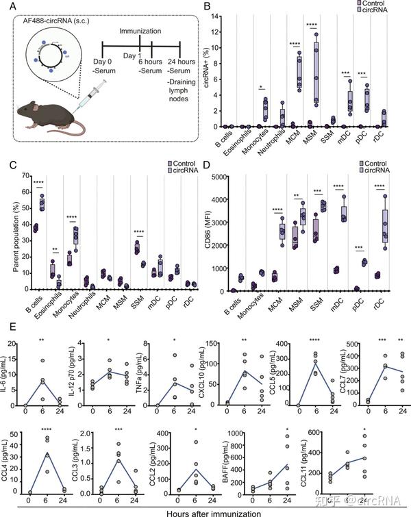 PNAS | 斯坦福大学Howard Y. Chang教授详解环状RNA疫苗诱导强效细胞免疫 - 知乎
