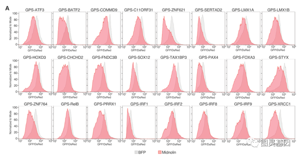 Science | 哈佛医学院发现绕过泛素标记降解蛋白新机制 - 知乎