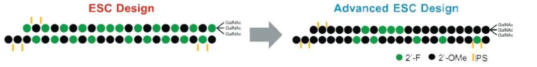 寡核苷酸药物的“智能”递送 - 知乎