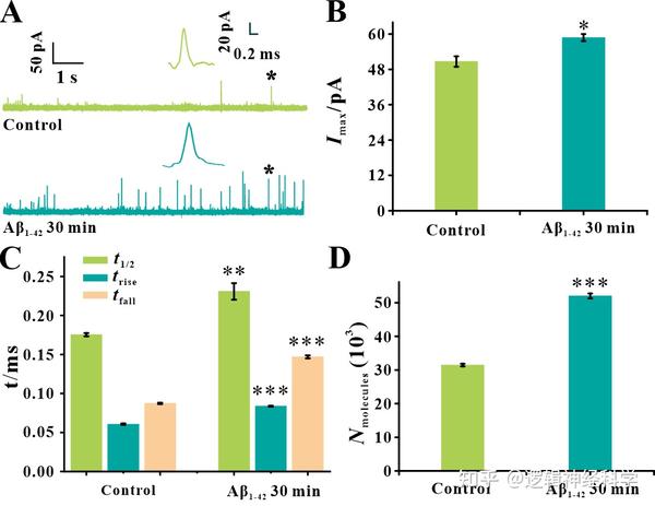 PNAS︱武汉大学黄卫华团队初步揭示可溶性Aβ42寡聚体对神经元囊泡谷氨酸储存和释放的影响机制 - 知乎
