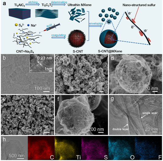 CEJ：高稳定性的快充锂硫电池—超薄MXene包裹S-CNTs多孔球有效激活硫并增强反应动力学 - 知乎
