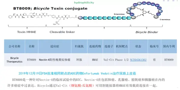 多肽偶联物（PDC）会是下一个风口？一文解读全球热点在研PDC及其技术 - 知乎