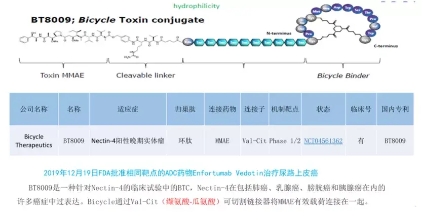 多肽偶联物（PDC）会是下一个风口？一文解读全球热点在研PDC及其技术 - 知乎