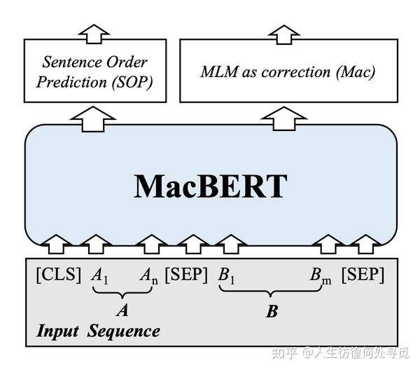 Pre-Training with Whole Word Masking for Chinese BERT - 知乎