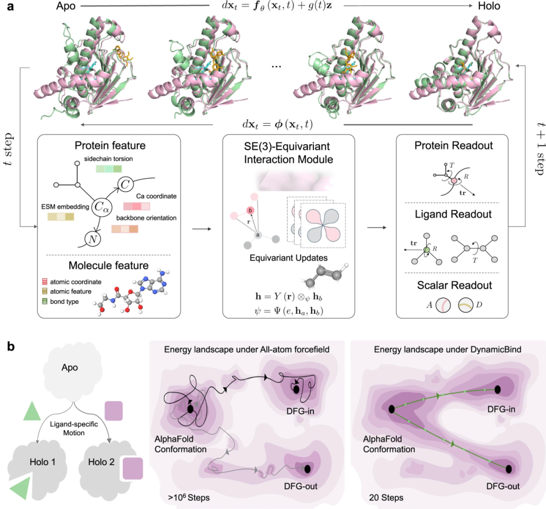 Nat.Commun. | DynamicBind:基于几何深度学习的动态复合物结构预测模型 - 知乎